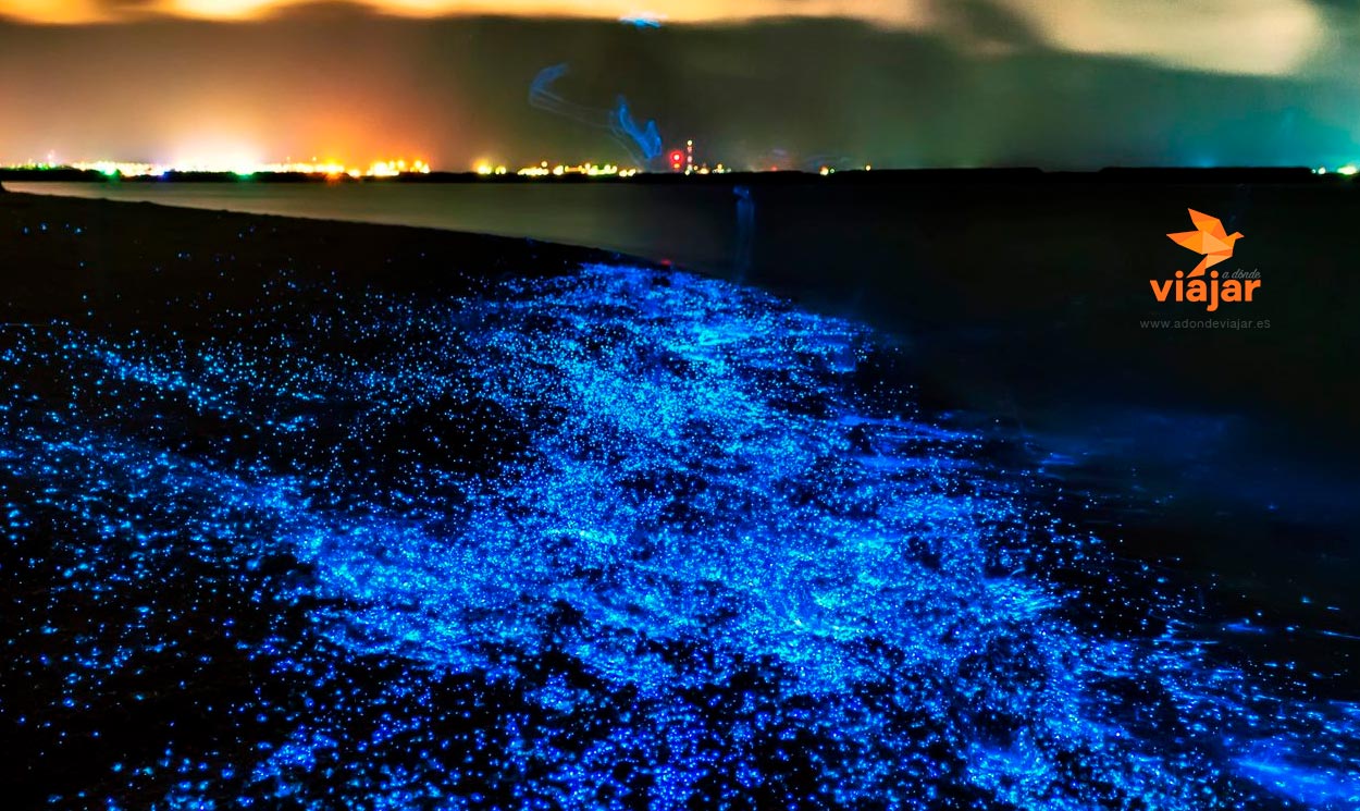La isla de Vaadhoo, un fenómeno increíble que tienes que ver